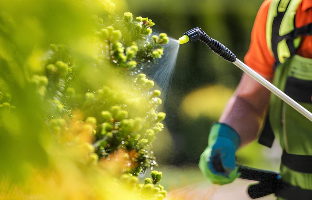 Alaska Fish Fertilizer Website - Organic Plant Feed